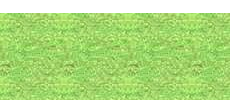 menu-green-border – Patchwork Phoenix
